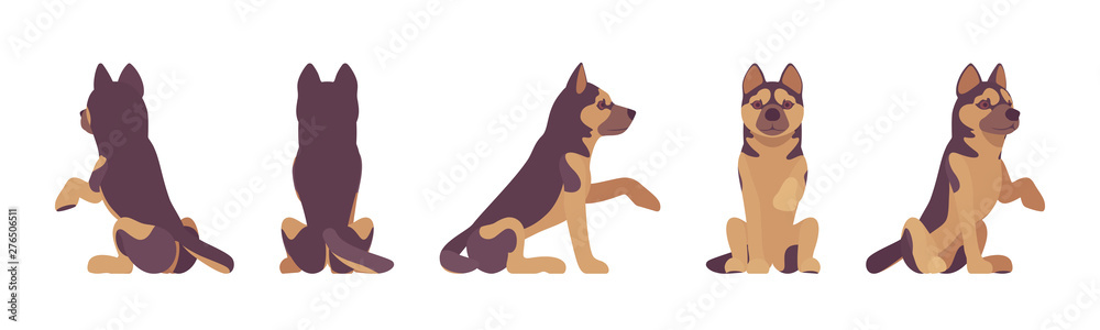 Shepherd dog giving paw and sitting. Working breed, companion for ...