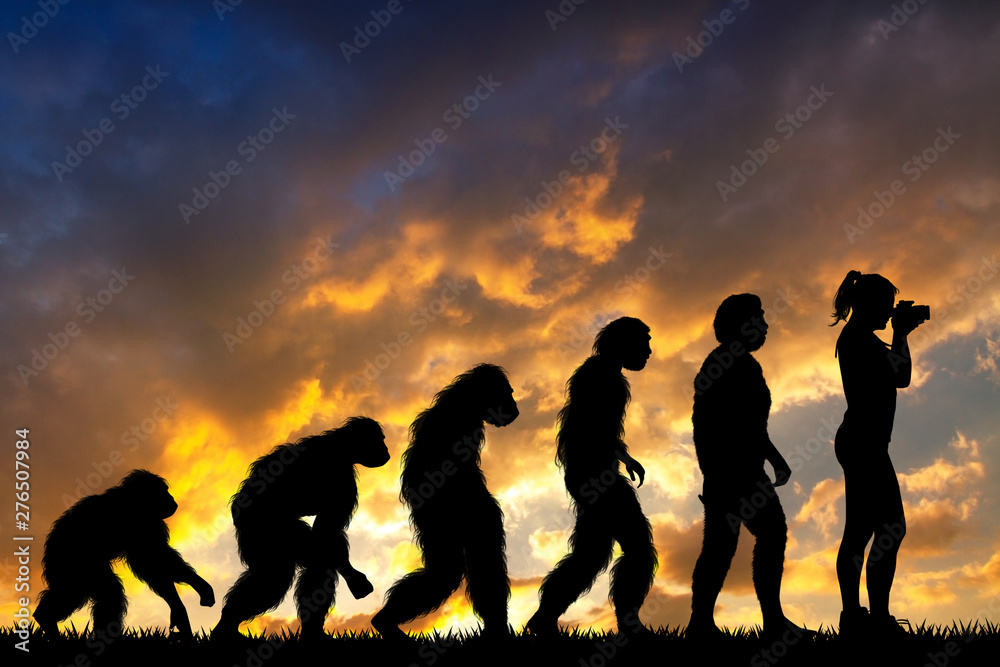 human evolution with photographer girl Stock Illustration | Adobe Stock