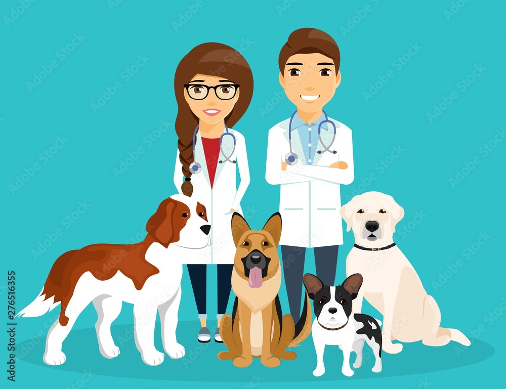 Girl and guy veterinarians, next to the dogs. Care and health of ...