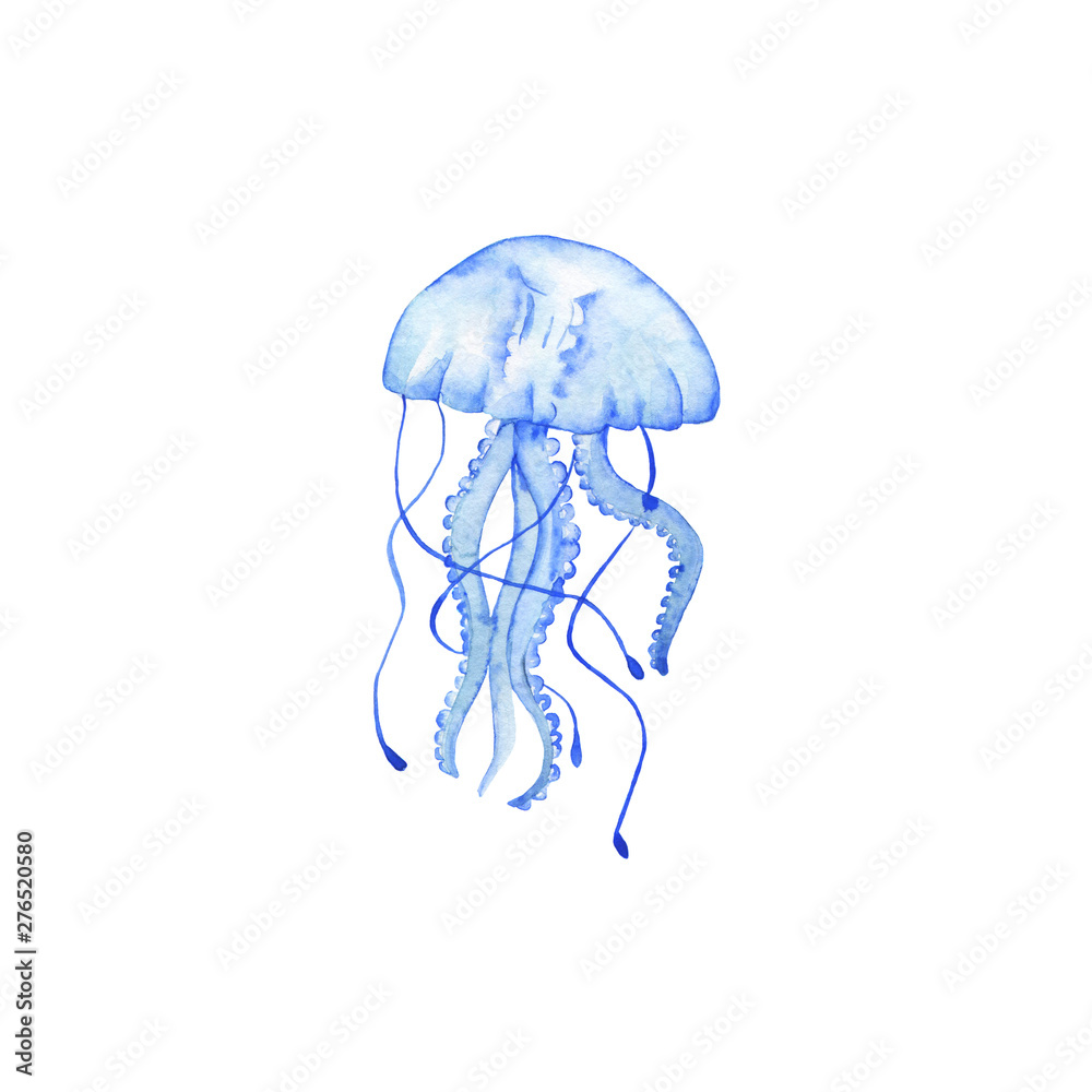 Transparent Jellyfish