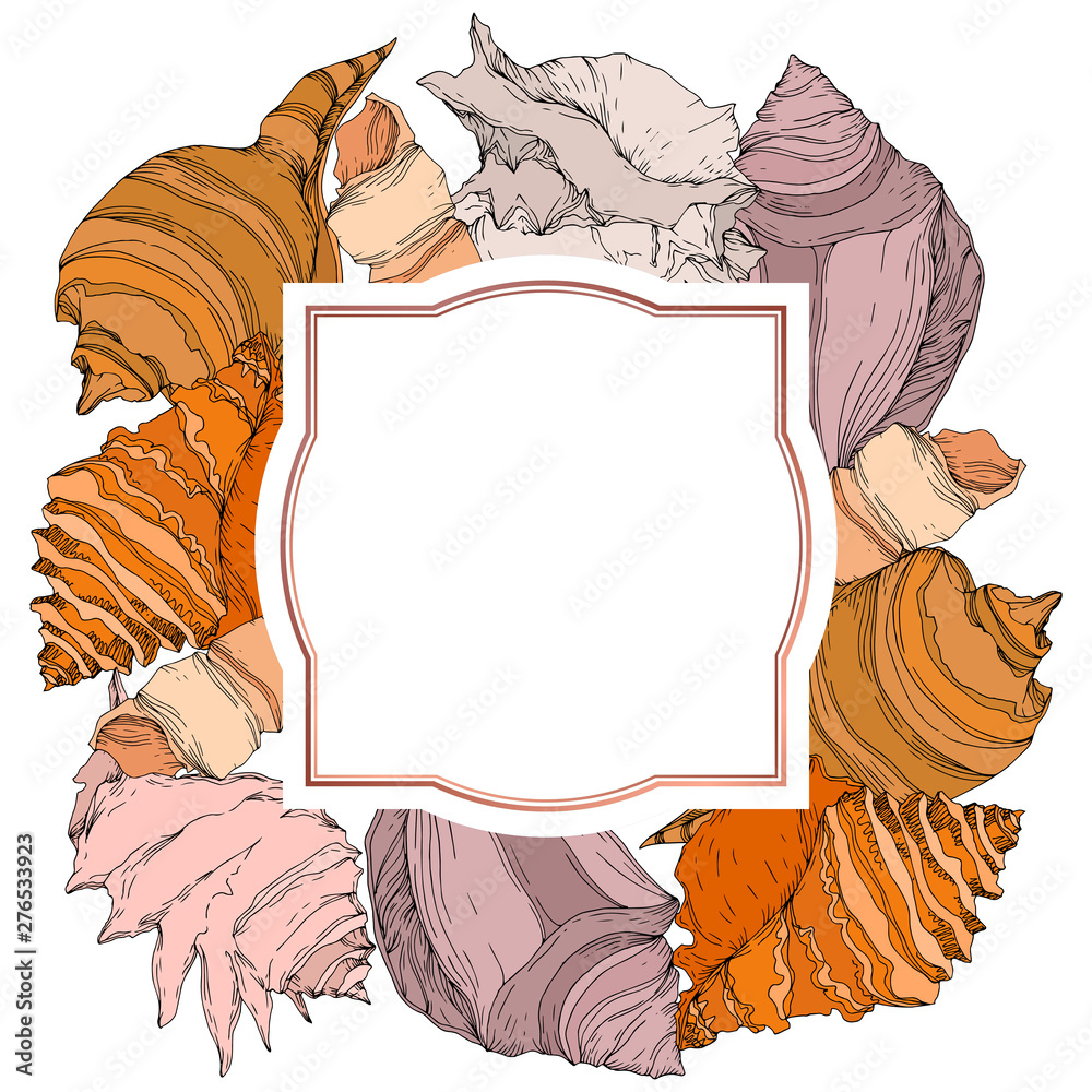 Summer beach seashell tropical elements. Black and white engraved ink ...