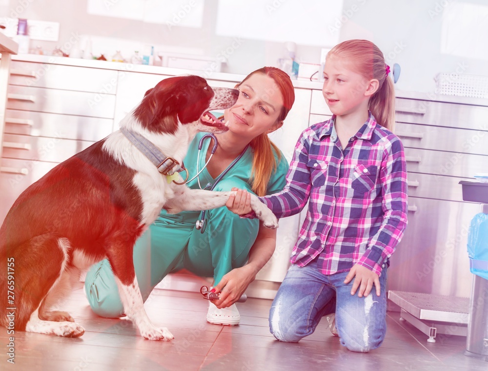 Veterinary clinic. Stock Photo | Adobe Stock