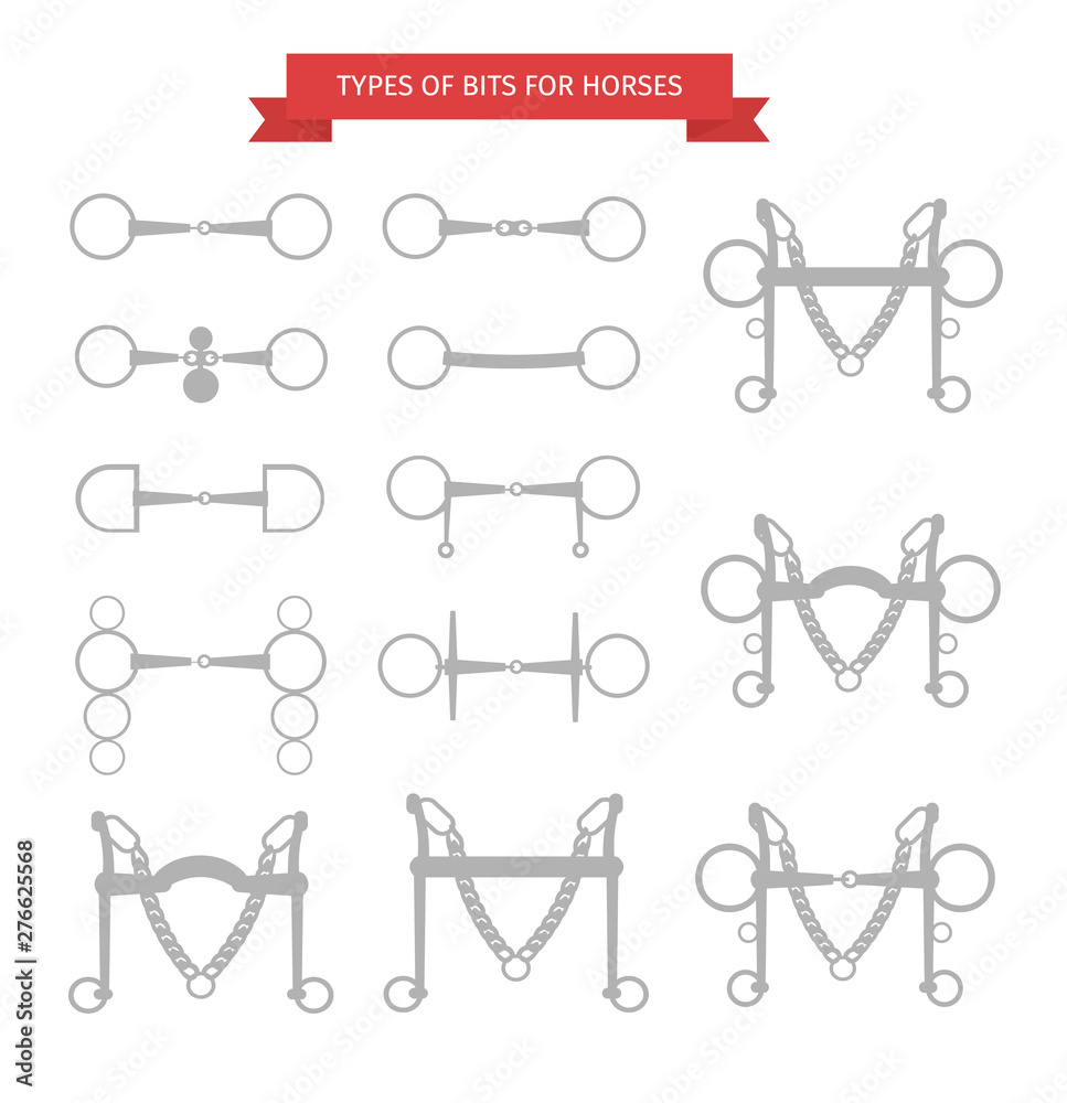 Vector flat gray equestrian bits for horse bridles set isolated on ...