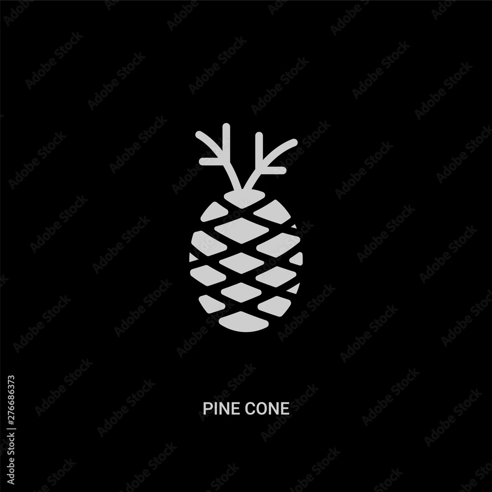 White Pine Cone Vector Icon On Black Background Modern Flat Pine Cone