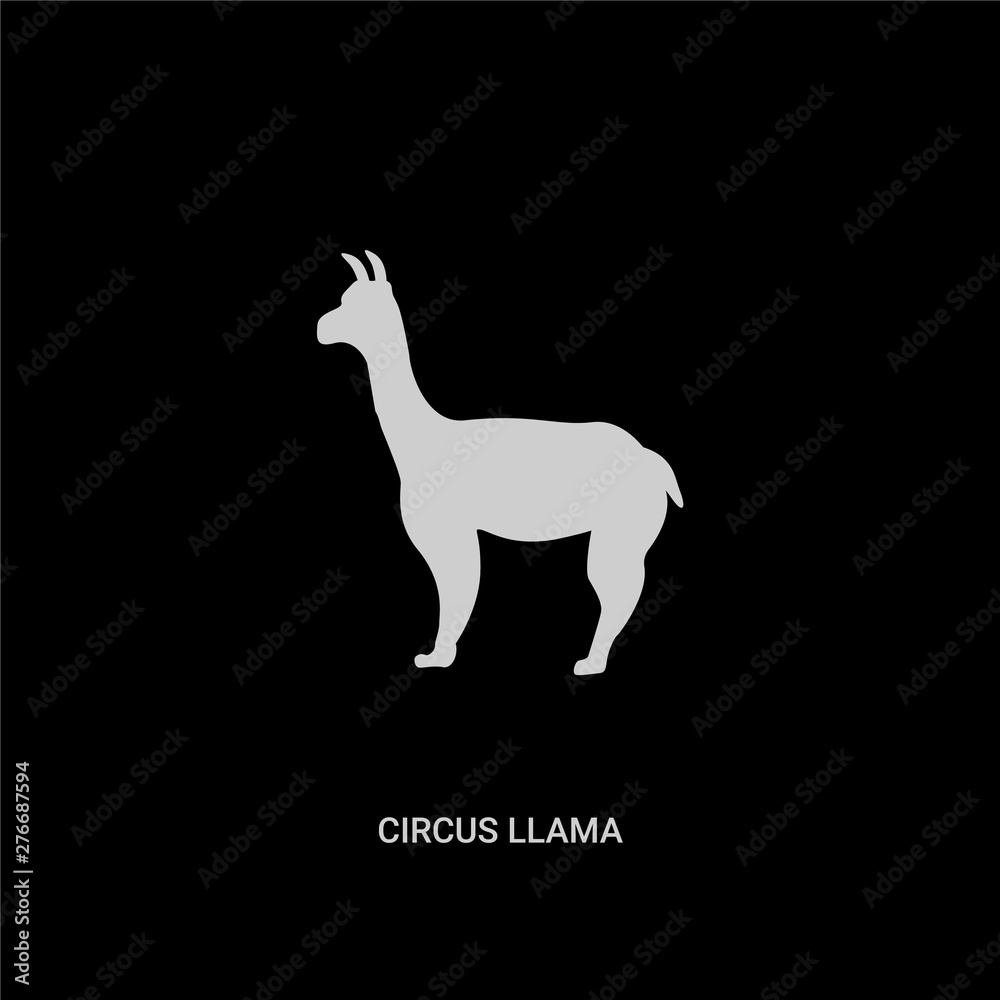 white circus llama vector icon on black background. modern flat circus ...