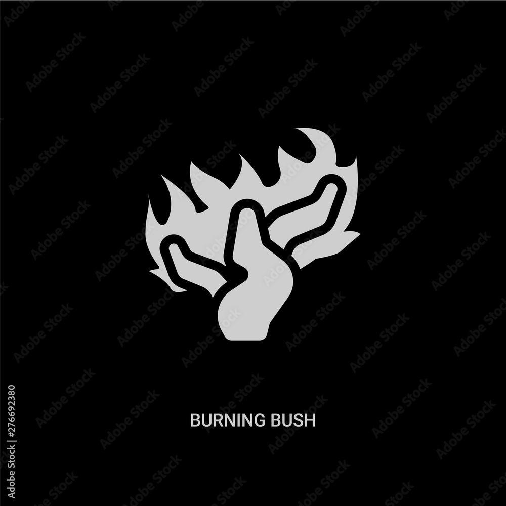 Burning Bush Logo