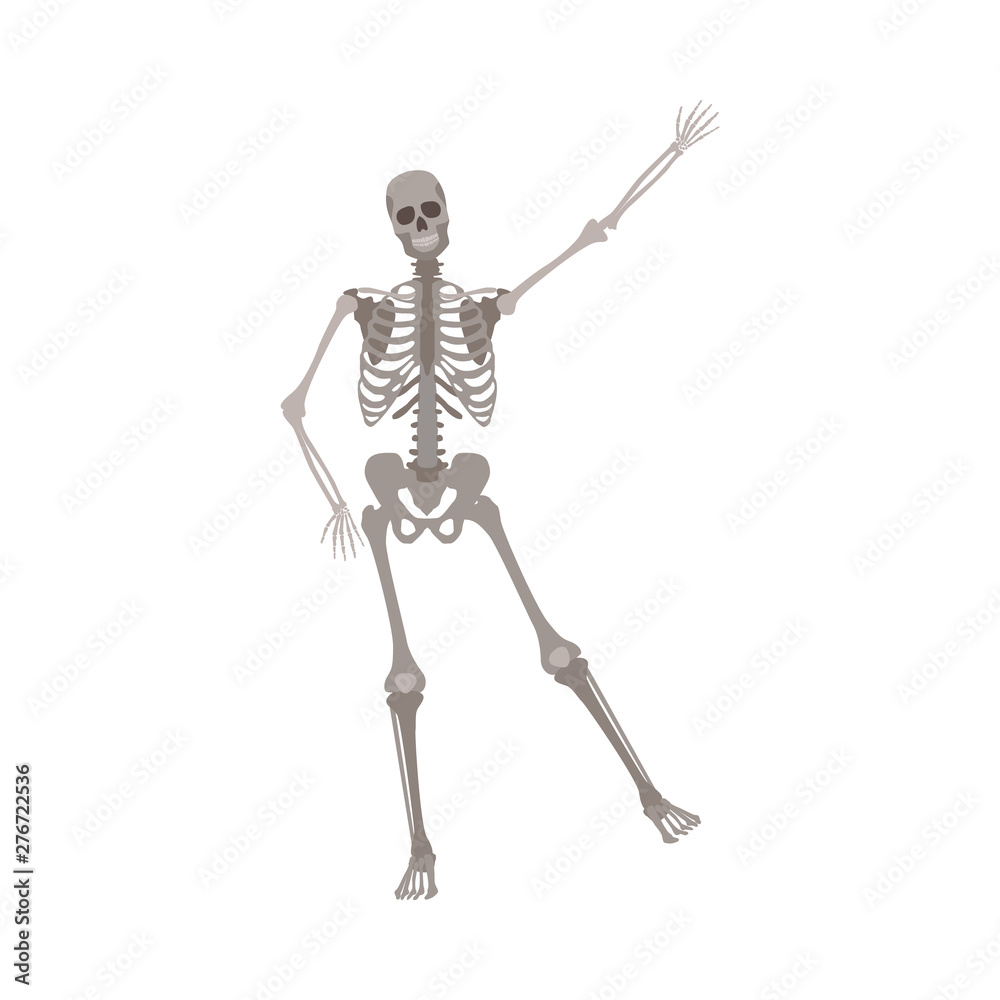 Human skeleton standing on one leg with arm raised up cartoon flat ...