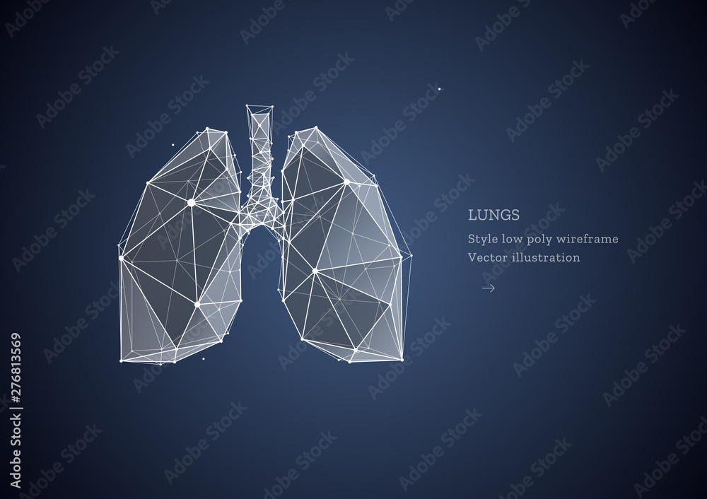 Lungs. Polygonal wireframe composition. Banner concept, the treatment ...