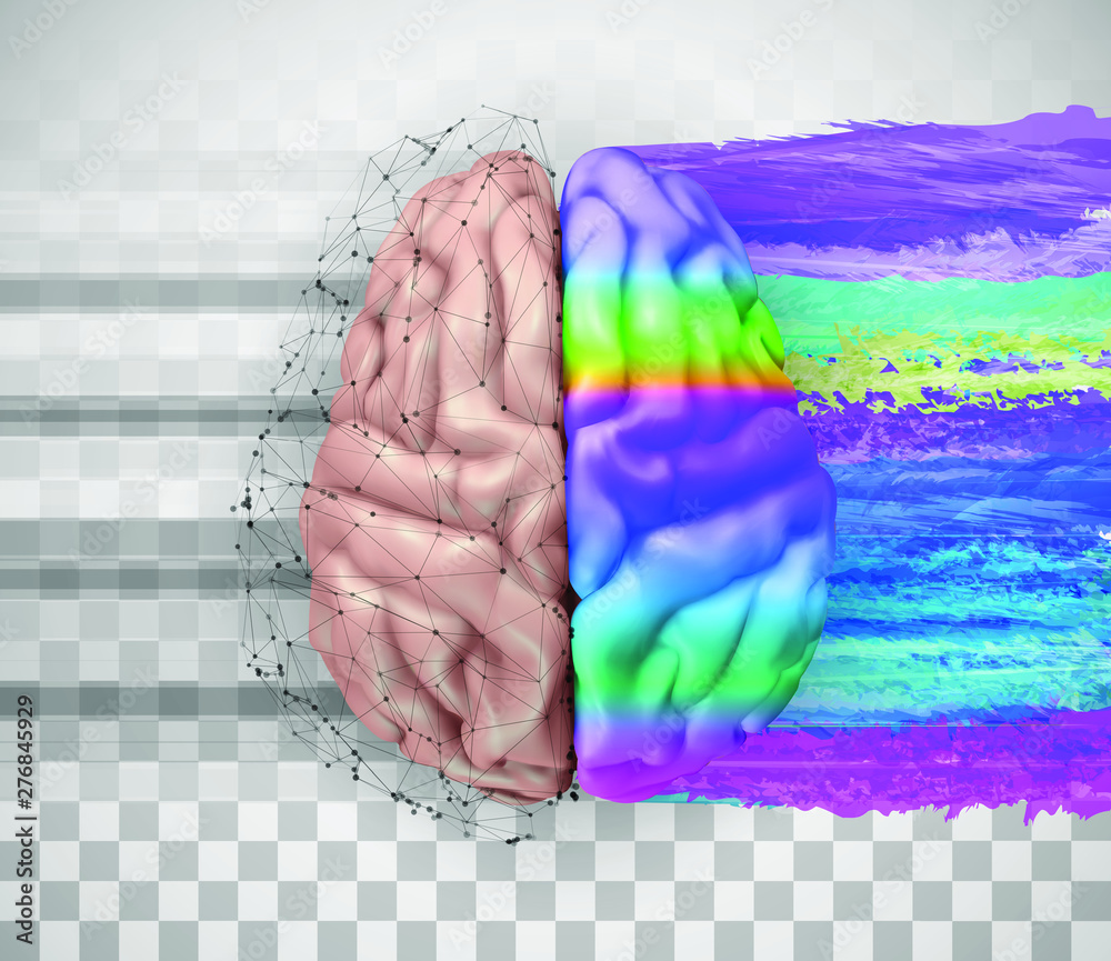 anatomical human brain, mesh vector, scientific article design and ...
