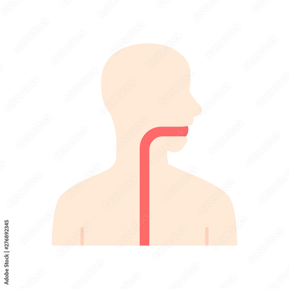 Healthy Throat Flat Design Long Shadow Color Icon Oral Cavity Pharynx