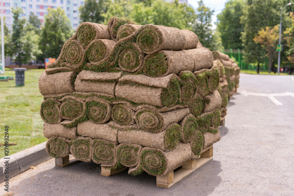 Rolls of lawn on a pallet. Landscaping of streets and parks. Stock ...
