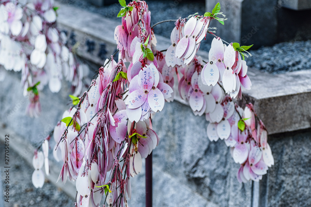 August 2018 Japan. Inuyama.Wish Tree in Japan near the temple,Japanese ...