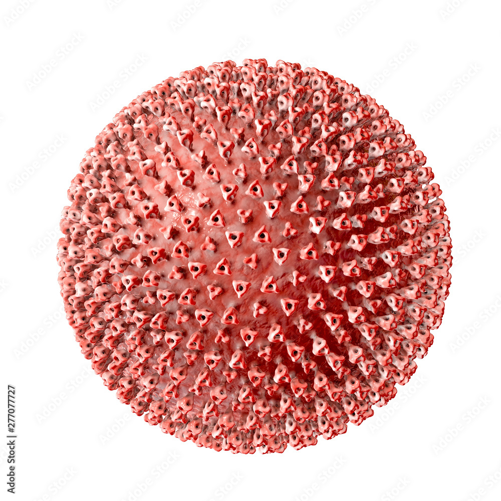 Measles virus. 3D illustration showing structure of measles virus with ...