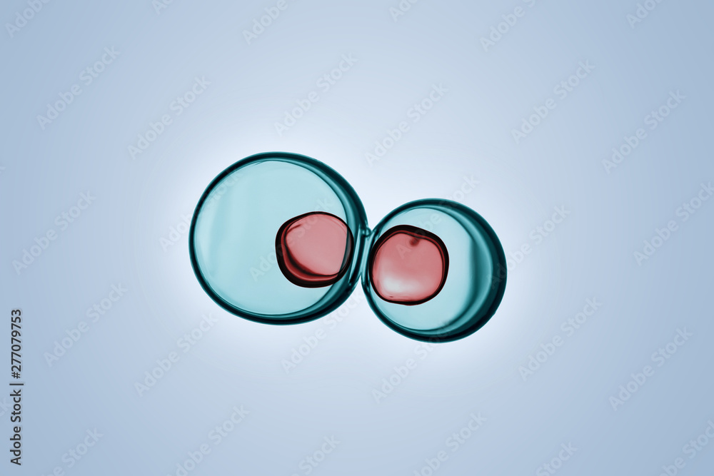 Cells division process, Cell divides into two cells Stock Photo | Adobe ...