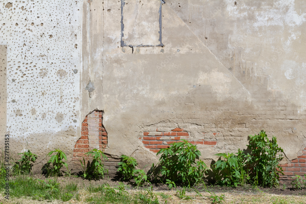 Old deteriorating building wall texture background with white concrete ...