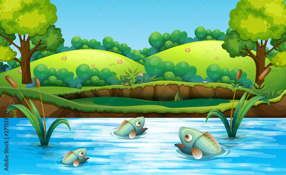 Fish in the pond Stock Vector | Adobe Stock