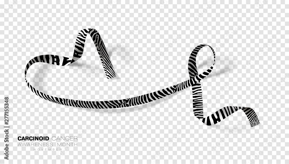 Carcinoid Cancer Awareness Month. Zebra Stripe Color Ribbon Isolated On ...