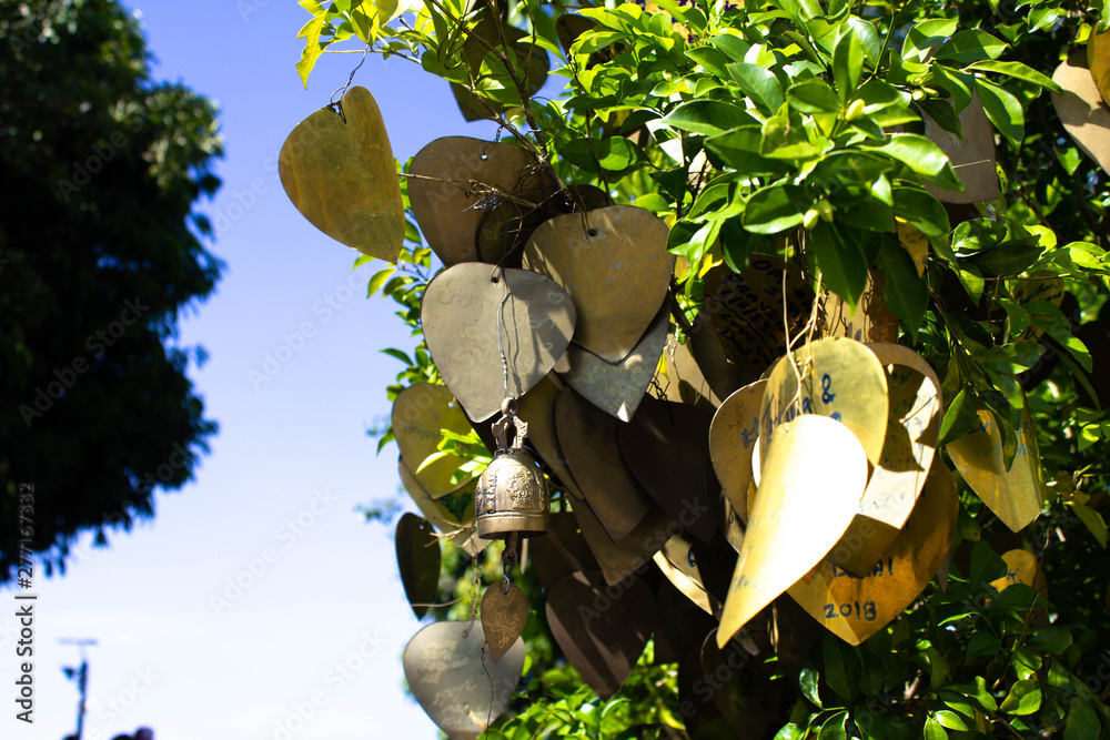 Foto de Golden leaves of the Bodhi tree at the Buddha temple. Jangling ...