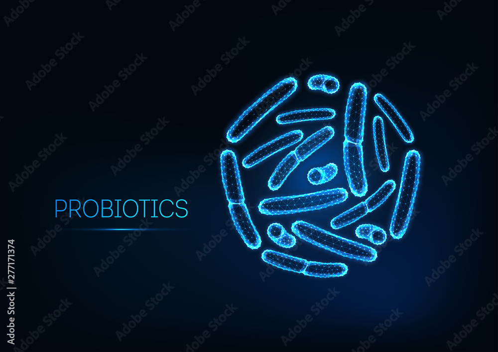 Probiotics under microscope. Gram positive bacteria, bacilli. Normal ...