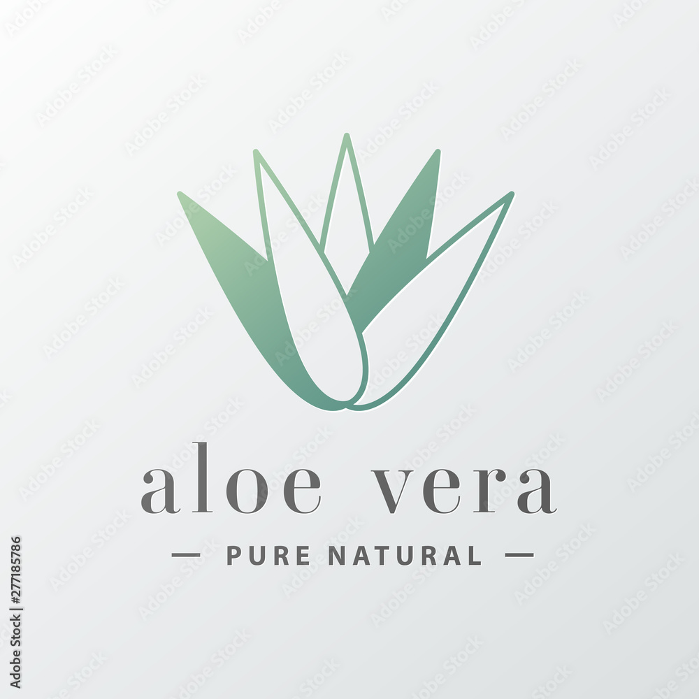 Aloe Vera logo in modern design. Natural and organic logo template for ...