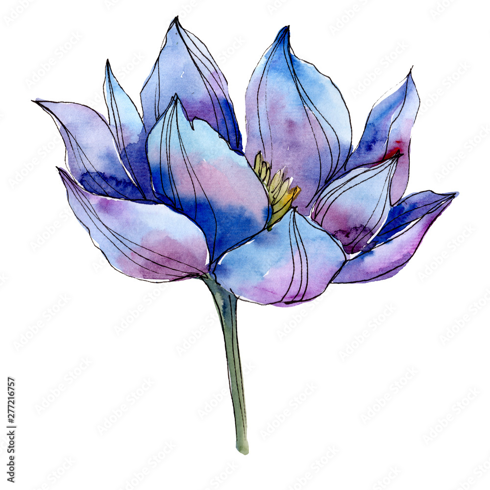 Blue lotus floral botanical flowers. Watercolor background illustration ...