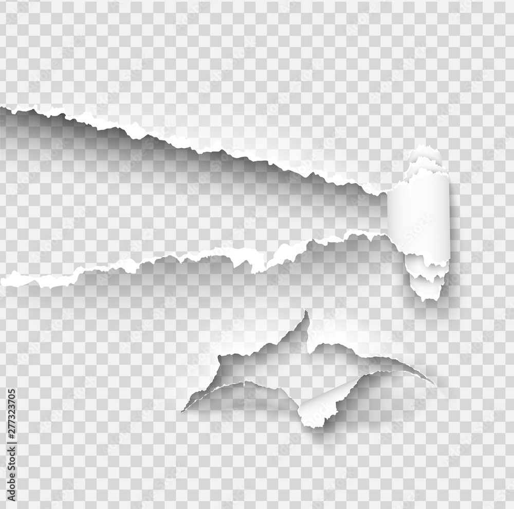 Torn ripped paper vector template, sides with ripped edges on realistic ...