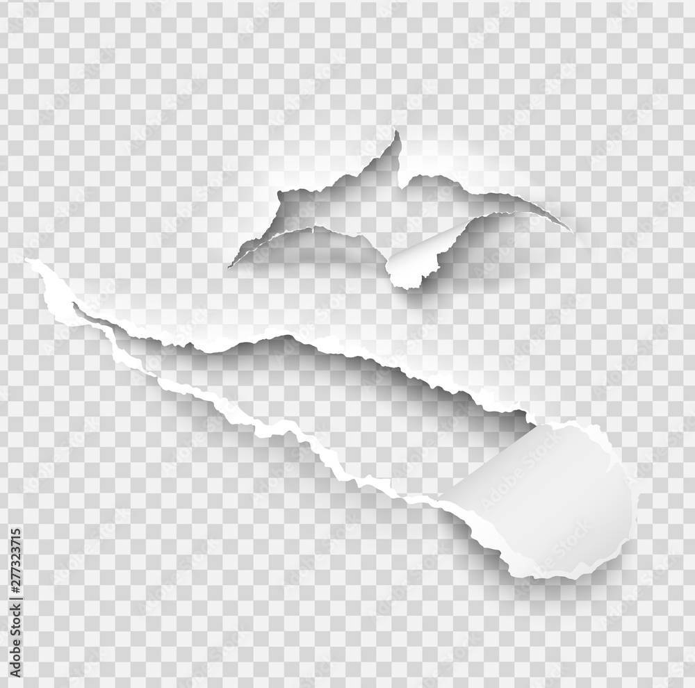 Torn ripped paper vector template, sides with ripped edges on realistic ...