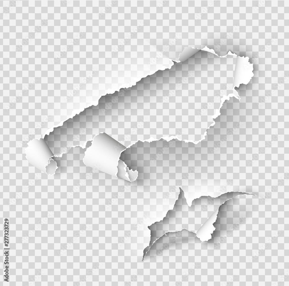 Torn ripped paper vector template, sides with ripped edges on realistic ...