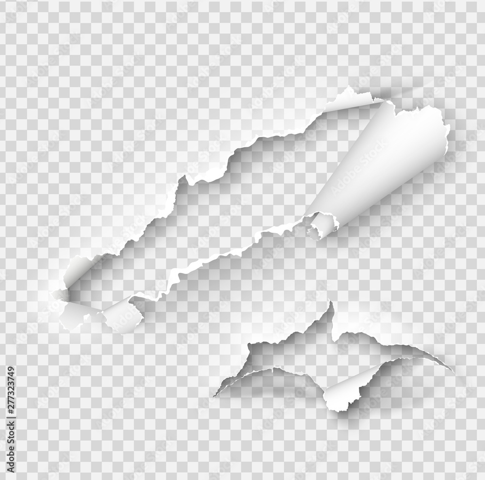 Torn ripped paper vector template, sides with ripped edges on realistic ...