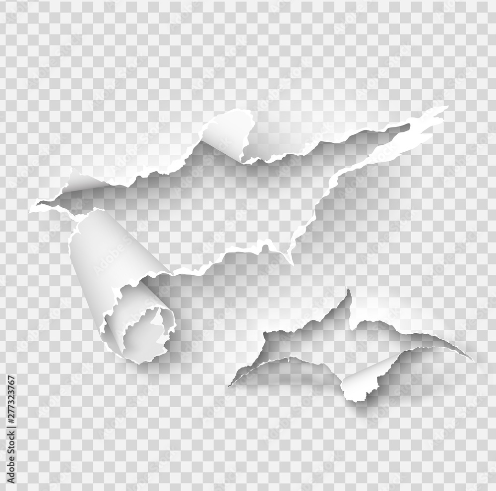 Torn ripped paper vector template, sides with ripped edges on realistic ...