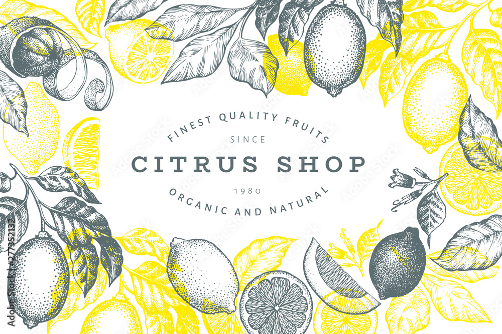 Lemon tree frame template. Hand drawn vector fruit illustration ...