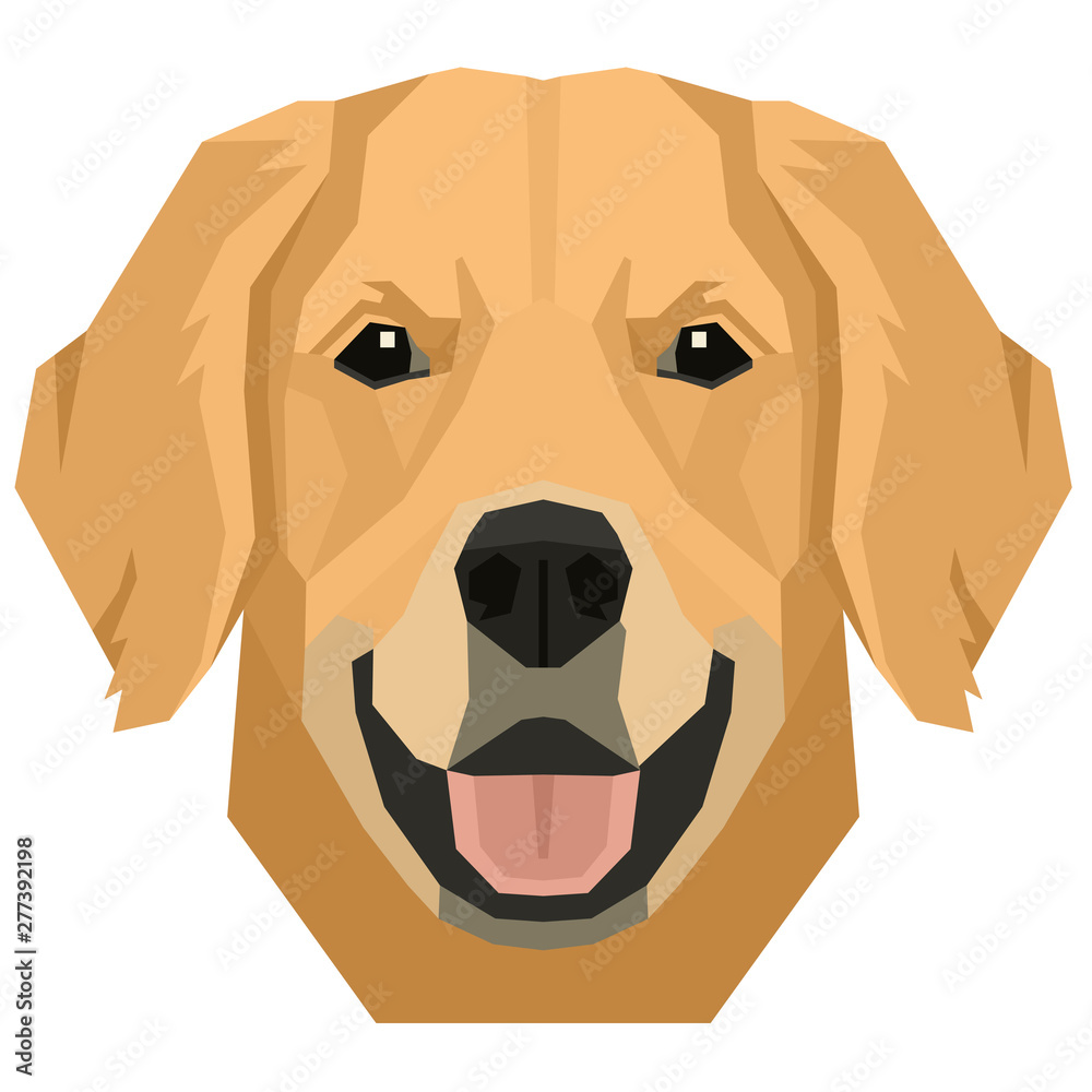 Golden Retriever Head