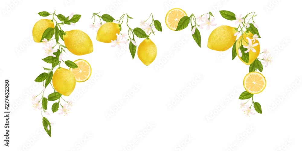 Yellow citrus fruit frame. Lemon, leaves and flowers. Tropical clip art ...