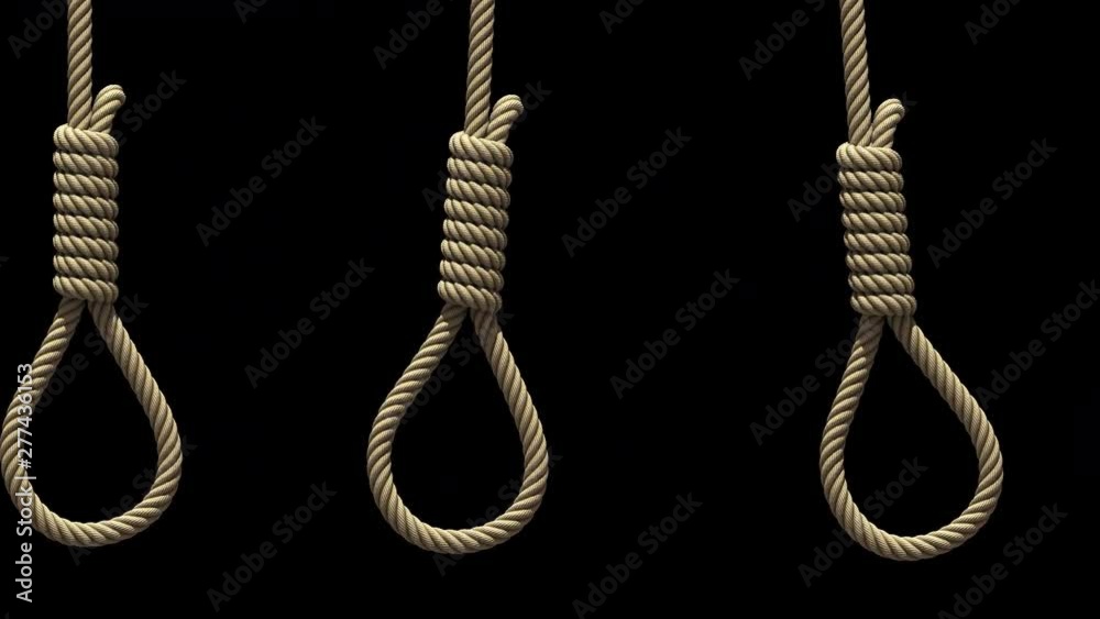 Vidéo Stock Camera movement along Hangman's nooses, 3D animation. Ropes ...
