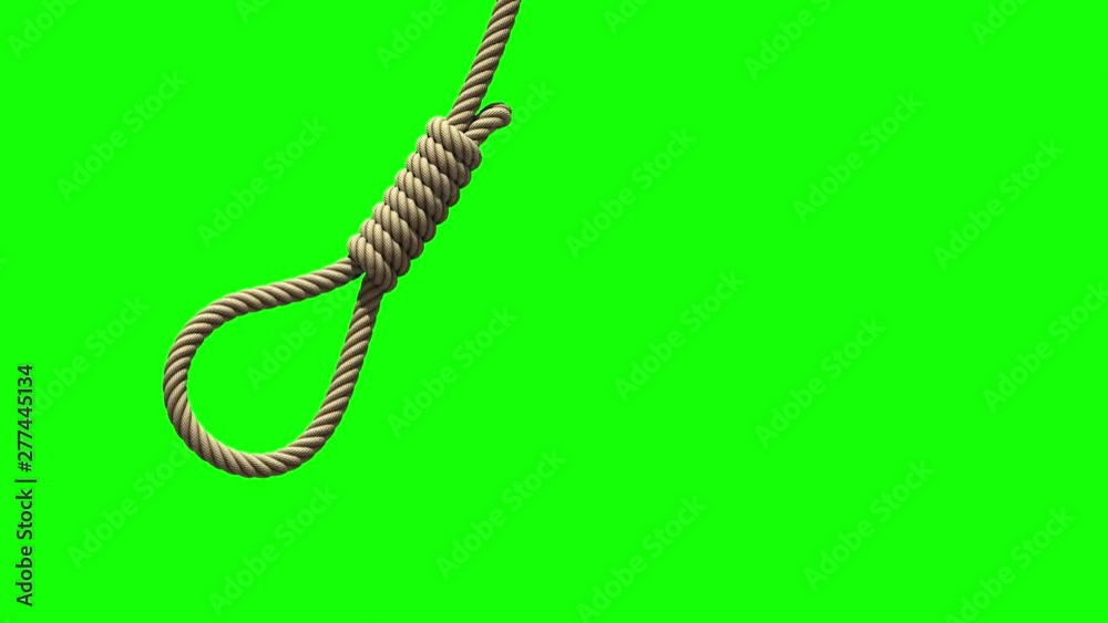 Hangman's noose on green screen. A rope with a knot for suicide or ... Hangman's noose on green screen. A rope with a knot for suicide or ...