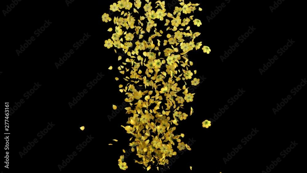 3D animation of a flower petals flow with alpha layer Stock Video ...