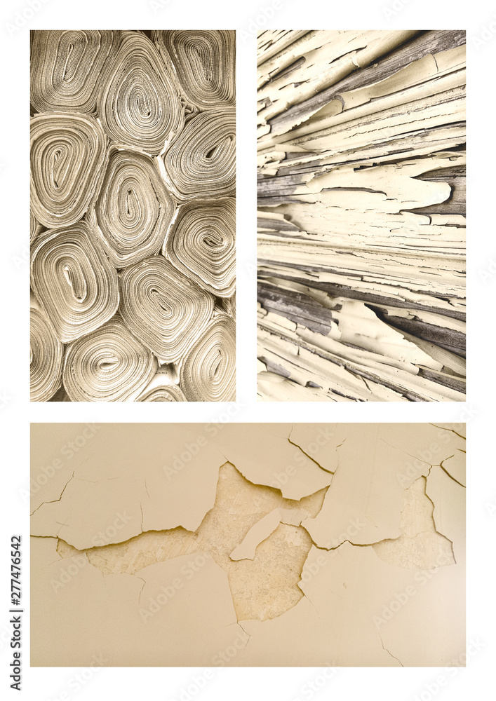 Rough surfaces idea on the board. Warm white wall and paper roll ...