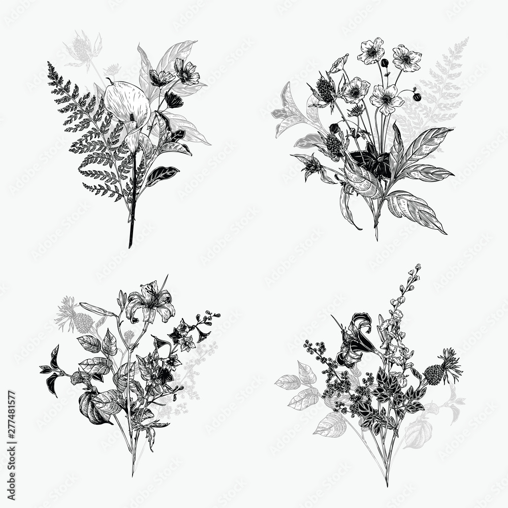 Vintage wild flower bouquet illustration set. Isolated black and white ...