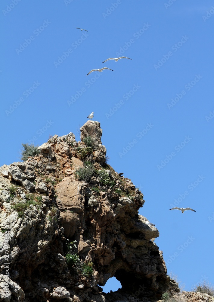 l'archipel des îles Medes sur la Costa brava,Espagne,Catalogne Stock ...