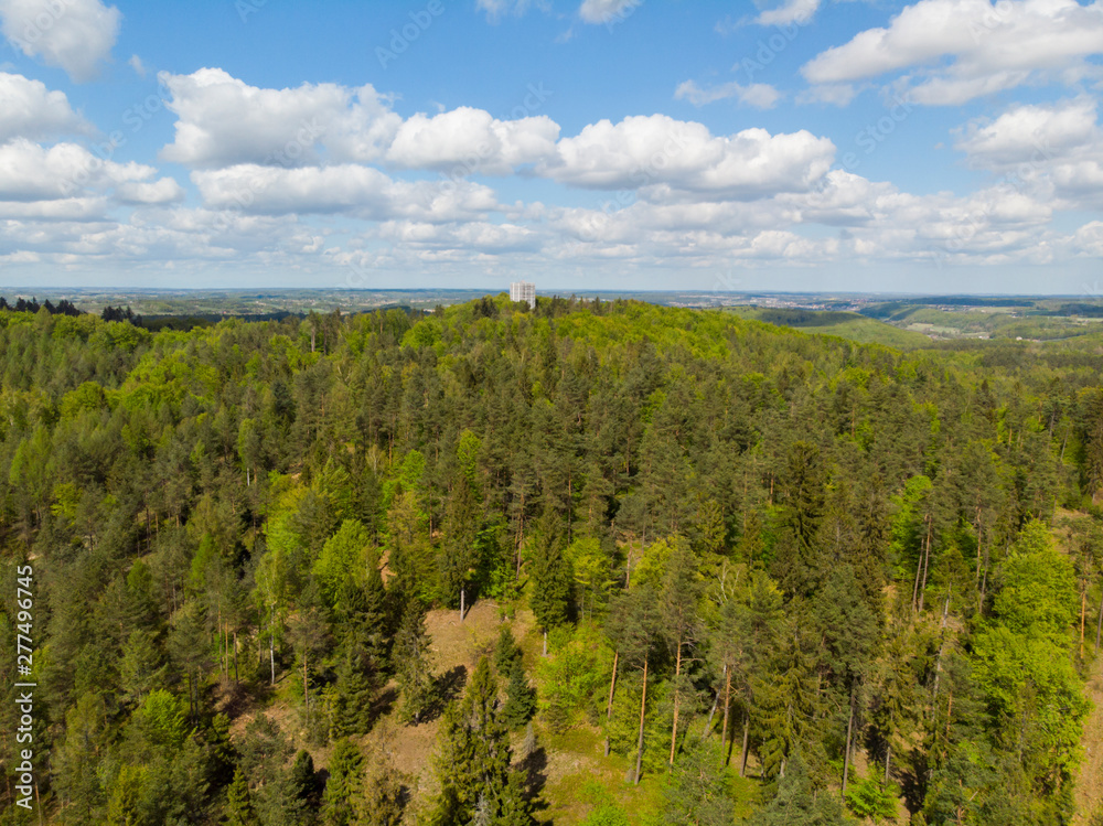 Rezerwat Przyrody Wieżyca kaszubski park krajobrazowy kaszuby widok las ...