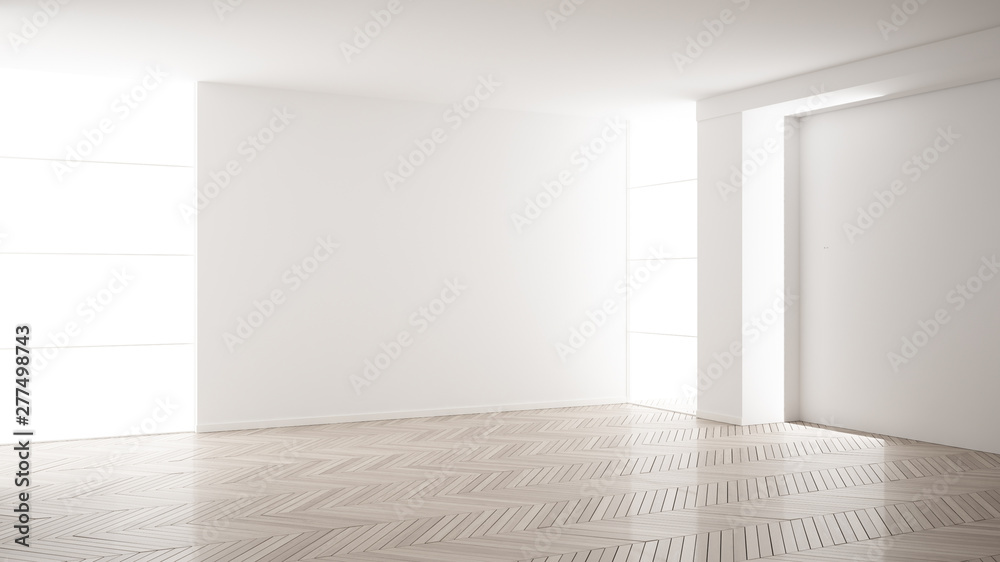 Empty room interior design, open space with white walls, modern style ...