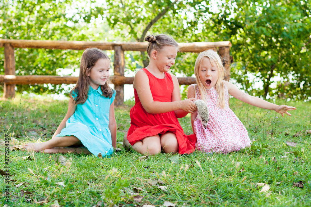 Kids playing with a African pygmy hedgehog. Children and pets. three ...