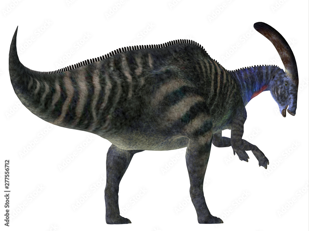 ภาพประกอบสต็อก Parasaurolophus Dinosaur Tail - Parasaurolophus with a ...