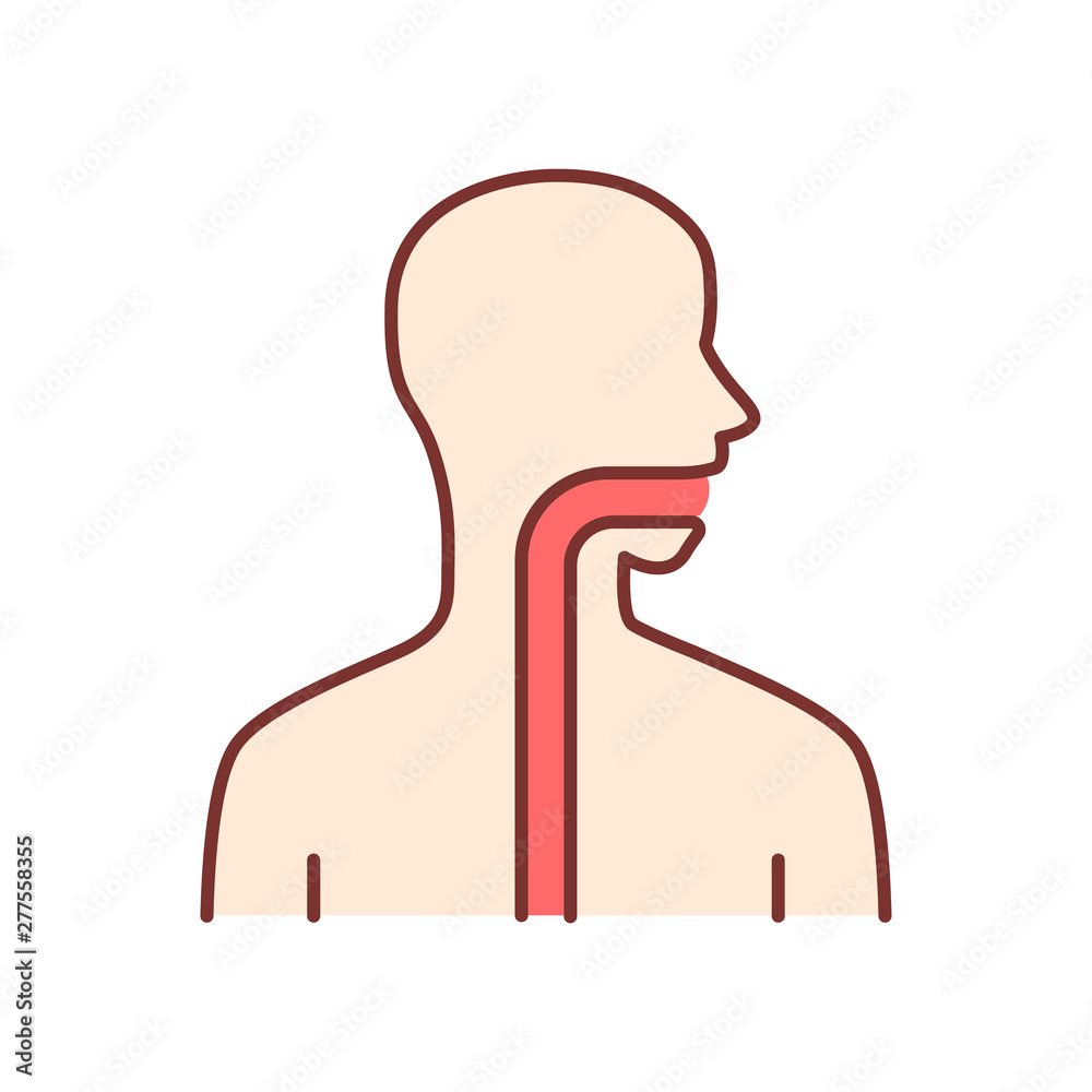 Healthy Pharynx