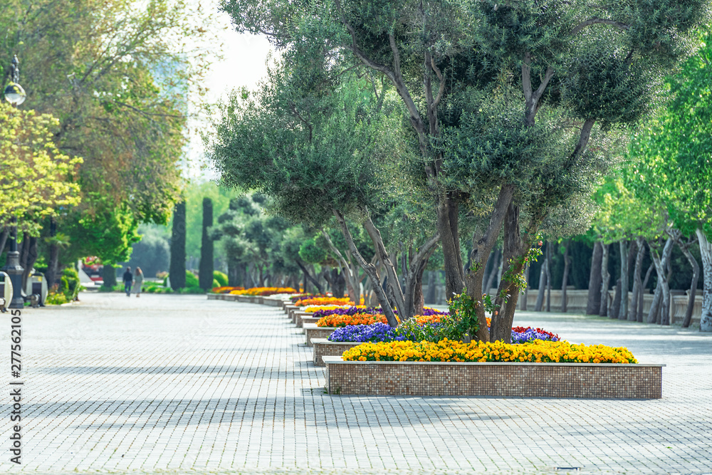 .incredibly beautiful plants and trees are surprisingly trimmed and ...