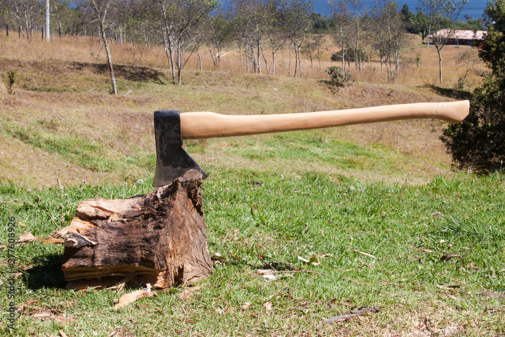 Axe stuck in a tree stump on a beautiful landscape. Firewood concept ...