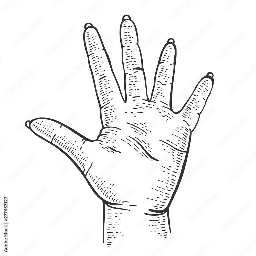 Open hand gesture sketch engraving vector illustration. Scratch board ...