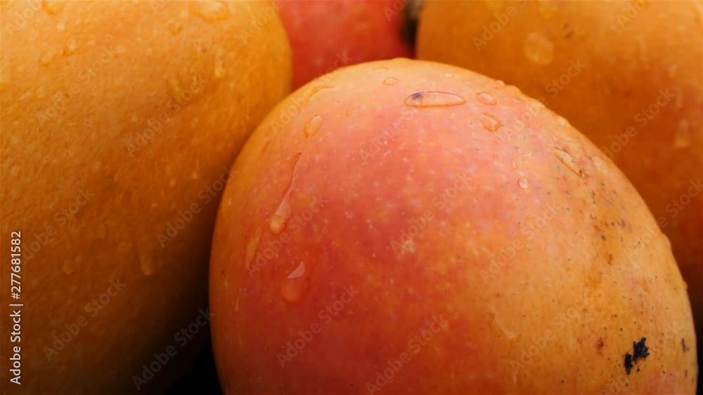 Vidéo Stock Mango with water drops rotating slowly. Apple Mango Close ...