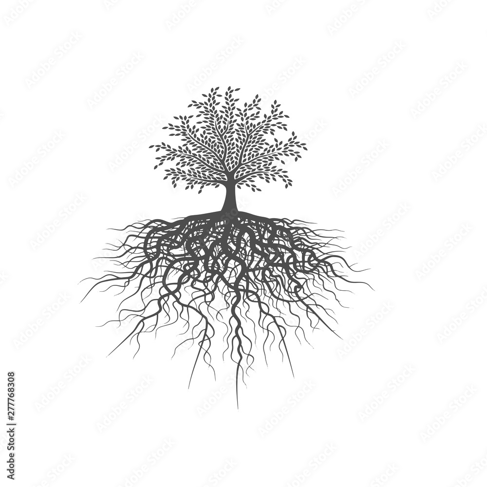 Tree Roots Drawing Tattoo