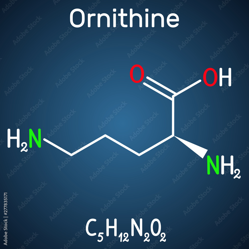Ornithine non-proteinogenic amino acid molecule, is used in the urea ...